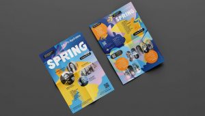 Alle | Spring